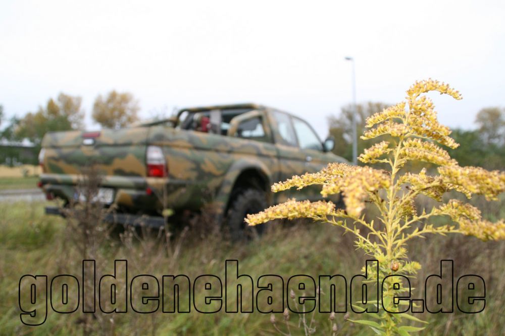 Graffitiaufträge / Auftragsgraffiti auf Fahrzeugen - goldenehaende ...